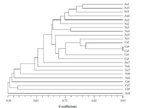 Upgma Clustering Analysis From Rapd Data Of Cyanobaterial Isolates From