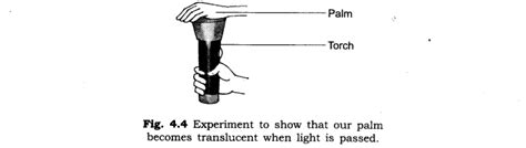 Ncert Solutions For Class 6 Science Chapter 4 Sorting Materials Into Groups