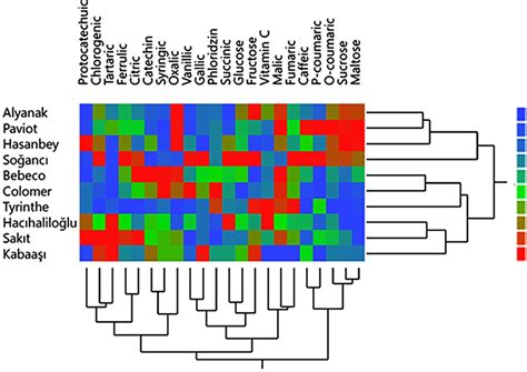 Hierarchical Clustering And Heatmap Analysis Based On The Average Download Scientific Diagram