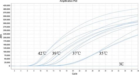Optimization Of Rt Raa Reaction Temperature Targeting B646l Gene The