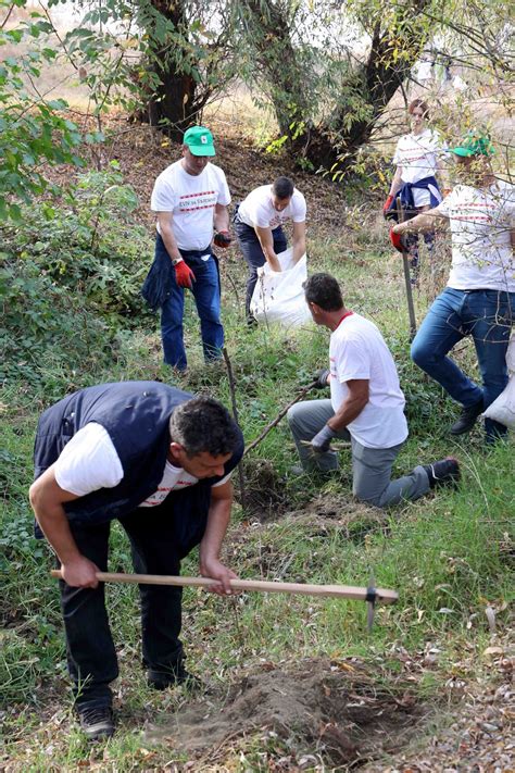 Evn и Wwf България с обща инициатива за възстановяване и опазване на горите