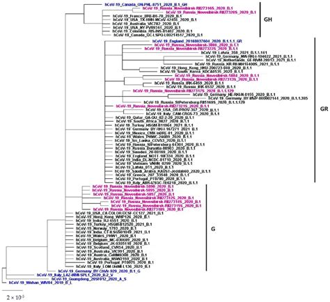 The Phylogenetic Dendrogram Performed With Mrbayes 327 And Based On