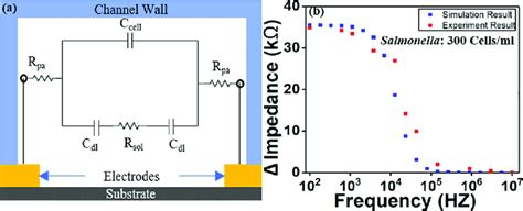 Equivalent Circuit And Simulation Result A Equivalent Circuit Of The Download Scientific