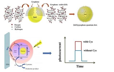 Molecules Free Full Text Surface Plasmon Resonance Enhanced Photoelectrochemical Sensing Of
