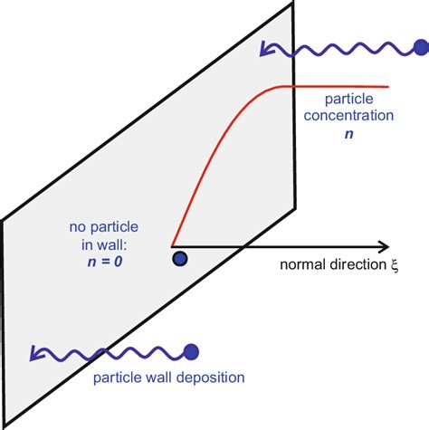 Dirichlet Boundary Condition For The Particle Concentration At The Wall Download Scientific