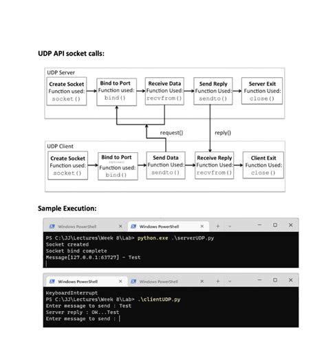 Solved Lab Use Socket Programming To Build Simple Client Chegg