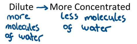 Diffusion Active Transport Osmosis Flashcards Quizlet