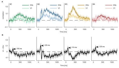 Predicting Fmri Regional Activity With Meg Responses A Pearson Download Scientific Diagram