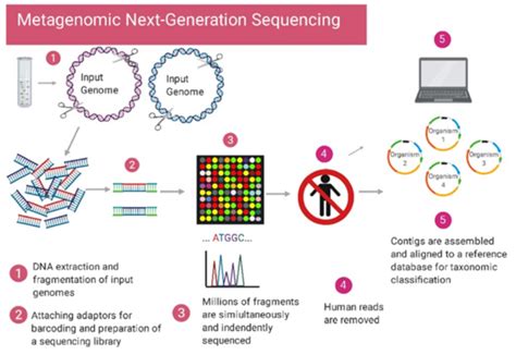 Metagenome Sequencing Pwonlyias