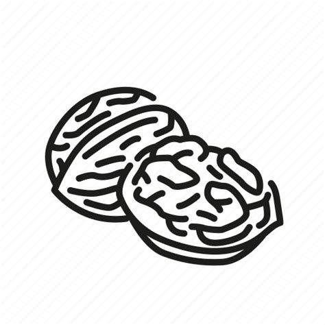 Food Kernel Nut Nut Shell Nuts Walnut Icon Download On Iconfinder