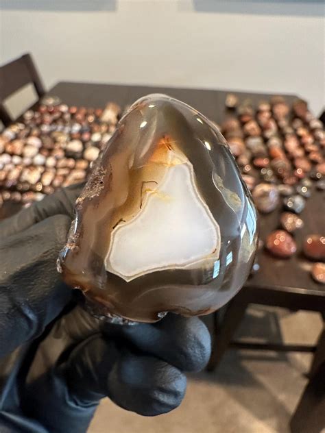 593oz Part Polished Arizona Agate High Contrast Dark And White Unique