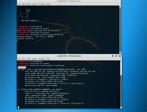 Creando Un Servidor And Cliente En Python Malware Hackingpills