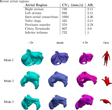 Table 2 From A Bi Atrial Statistical Shape Model For Large Scale In