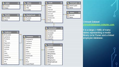 sql subqueries chinook dataset chinookdatabase codeplex com it