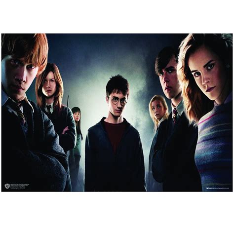 Harry Ron Hermione And Ginny