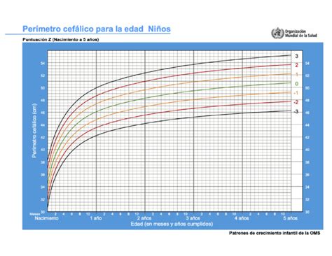 Perimetro Cefalico Niños Pdf