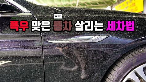 비 오고 더운 여름 저는 이 세차용품으로 쉽게 세차 합니다 Youtube