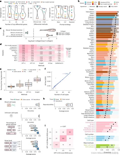 Gptcelltype：玩gpt4玩出nature Csdn博客