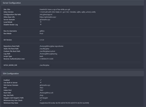 Ssh Clone Issue Installmaintainconfigure Gitea
