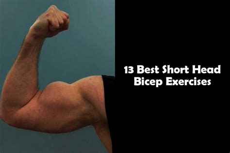 13 Best Short Head Bicep Exercises Barbell Dumbbell Cable Yes Strength