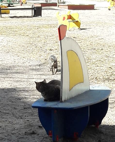 Абордаж | Пикабу