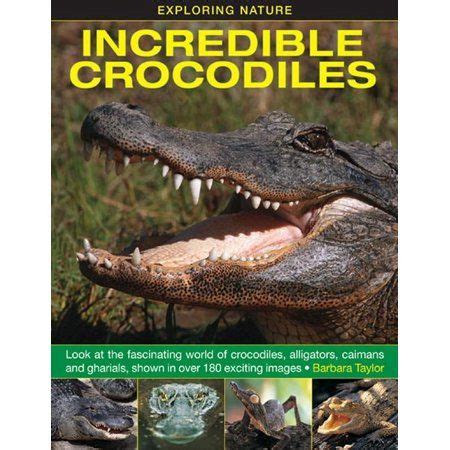 Exploring Nature Exploring Nature Incredible Crocodiles Look At The