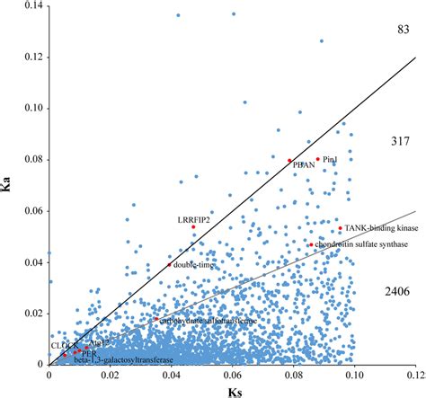 Distribution Of Ka And Ks Values Above The Black Line Orthologous