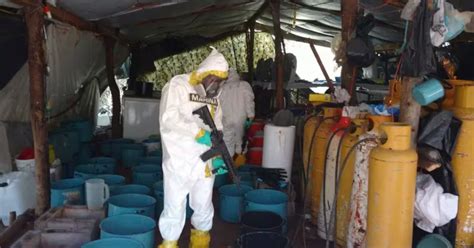 La Sspc Presume Un Golpe De 300 Millones De Pesos Al Narco En Una Sola Jornada Infobae