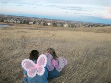 Pin On Fig Tree Sylvia Plath