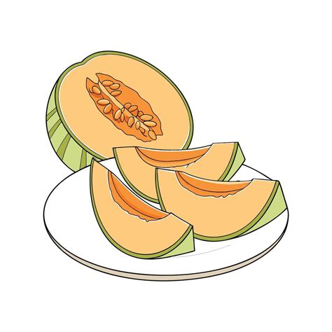 Nutritious Soft Melon Cubes For Healthy Treats 57693605 Vector Art At