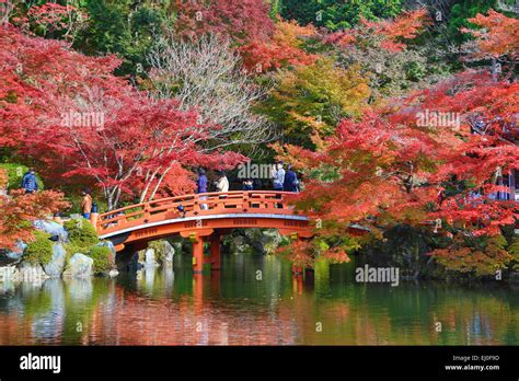 Bridge Daigo Ji Japan Asia Kansai Kyoto Japanese Landscape Temple Colourful Fall