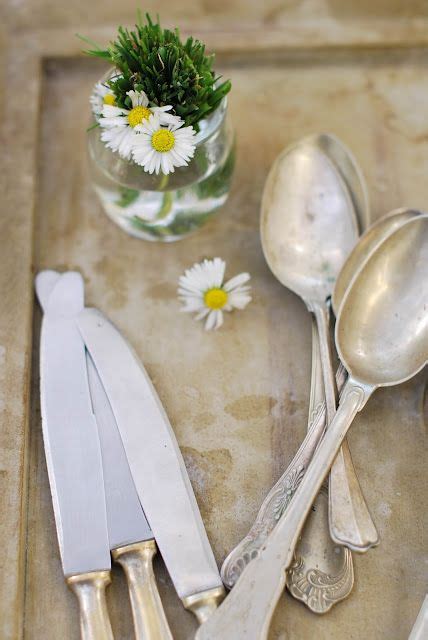 51 Oopsey Daisy Ideas Daisy Daisy Love Beautiful Flowers