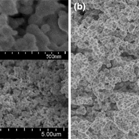 Sem Morphologies Of The Nanoparticles A Cuo And B Tio2 Download