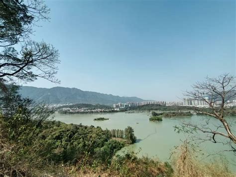 containerd 使用协议容器镜像仓库