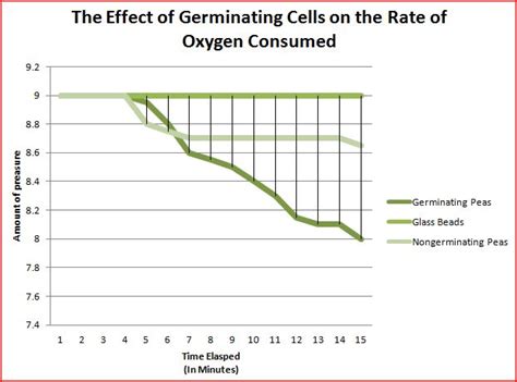 Respiration Lab Nikki And Sam S Final Project