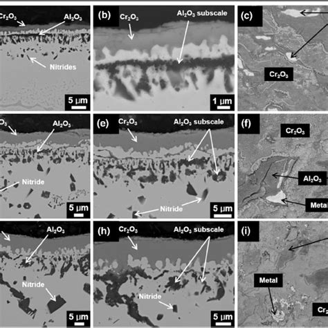 Pdf High Temperature Oxidation Behavior Of Al Co Cr Ni Fe Or Si Multicomponent High Entropy
