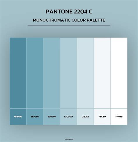 Pantone 2204 C Color Palettes