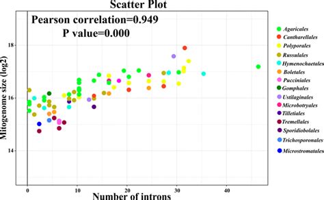 Pearson Correlation Analysis Between Mitogenome Sizes And Intron Download Scientific Diagram