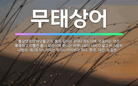 🌟무태상어 흉상엇과의 바닷물고기 몸의 길이는 4미터 정도이며 주둥이는 약간 뾰족하고 이빨은 톱니 모양 표준국어대사전