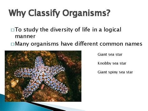 Classification Why Classify To Study The Diversity Of