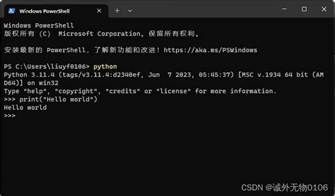 在win11上建立python环境（特详细，初学者可了解）python 3115 For Windowspython开发环境工具怎么用 Csdn博客