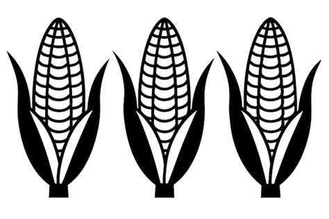 Premium Vector Vector Corn