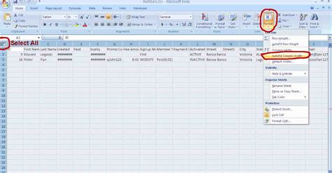 what is autofit column width in excel design talk