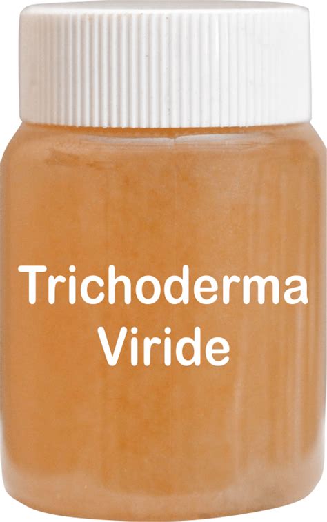 Trichoderma Viride At Best Price In Ankleshwar Gujarat Anbr Elixir Private Limited