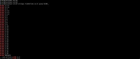 二进制部署 毕升office v4官方文档