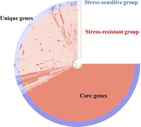 Pangenome Analysis Of Stress Resistant And Sensitive L Monocytogenes Download Scientific