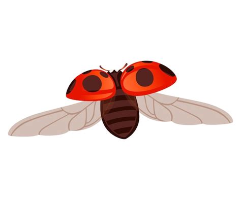 Premium Vector Ladybug With Open Shell And Wings Flying Beetle Cartoon Bug Design Flat Vector