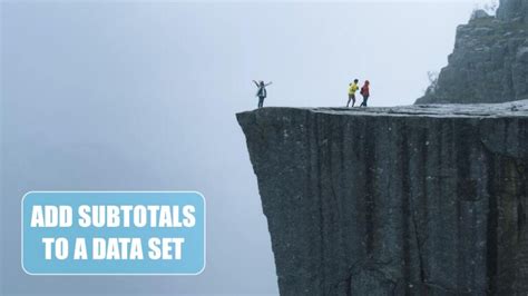 Add Subtotals To A Data Set Excel Tips Mrexcel Publishing