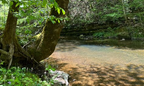 Ragland Bottom Campground In Center Hill Lake Tennessee Reviews And