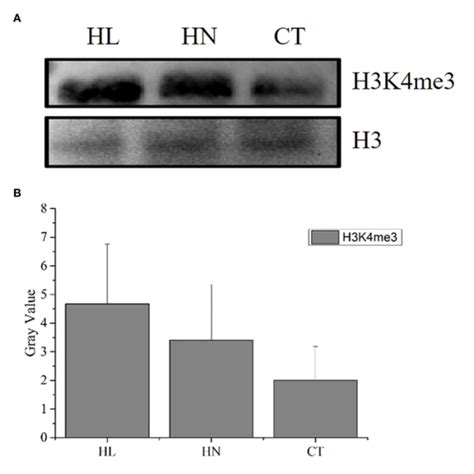 项目文章 首次发现太平洋亚历山大藻（甲藻）快速生长中h3k4me3修饰 知乎